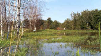 Pennsylvania Wetland Replacement Project, Monitoring Rpt 2000