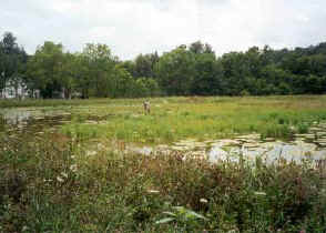 Pennsylvania Wetland Replacement Project, Monitoring Rpt 2000