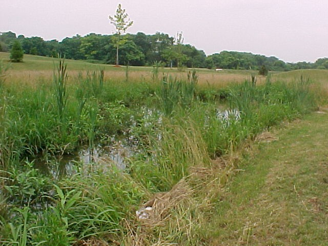 Pennsylvania Wetlands Replacement Project 2003 Monitoring Report