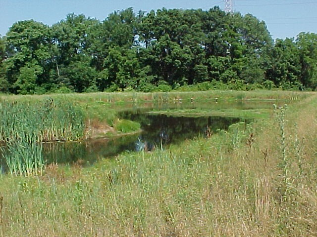 Pennsylvania Wetlands Replacement Project 2003 Monitoring Report