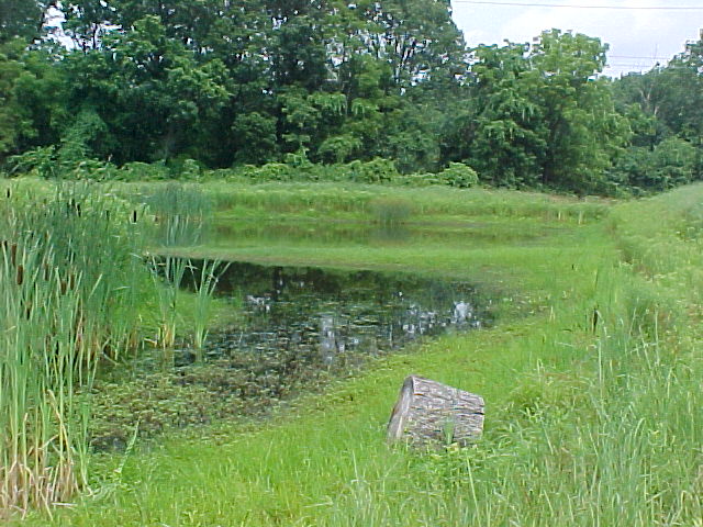 Pennsylvania Wetlands Replacement Project 2003 Monitoring Report