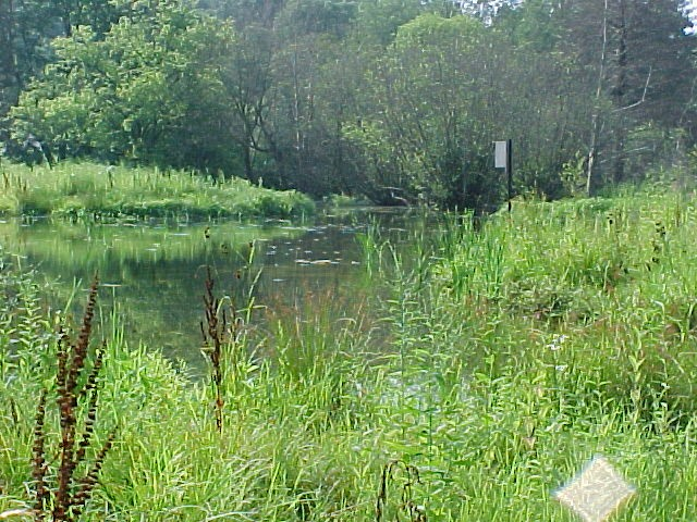 Pennsylvania Wetlands Replacement Project 2003 Monitoring Report