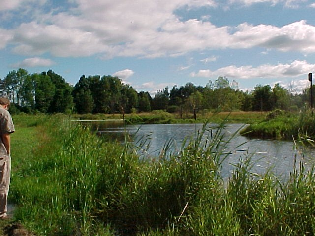 Pennsylvania Wetlands Replacement Project 2003 Monitoring Report
