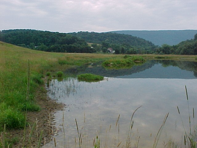 Pennsylvania Wetlands Replacement Project 2003 Monitoring Report