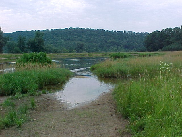 Pennsylvania Wetlands Replacement Project 2003 Monitoring Report