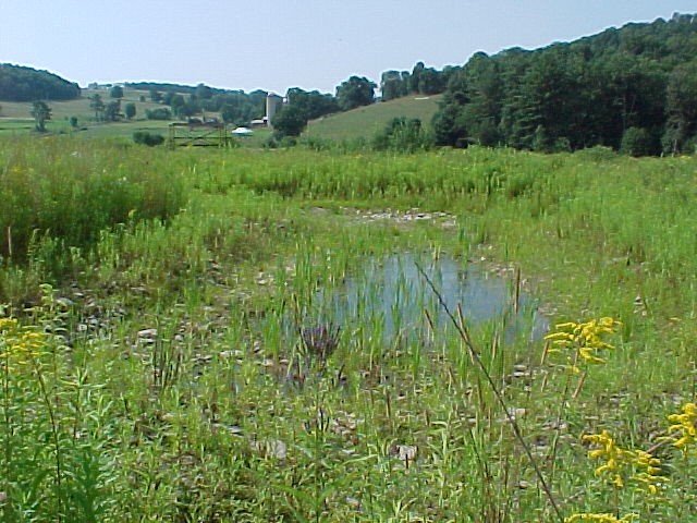 Pennsylvania Wetlands Replacement Project 2003 Monitoring Report