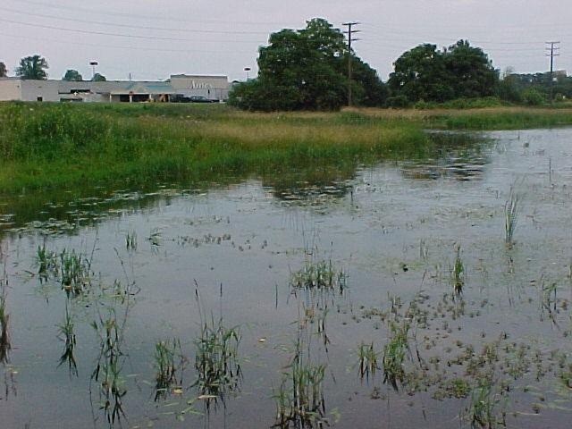 Pennsylvania Wetlands Replacement Project 2003 Monitoring Report