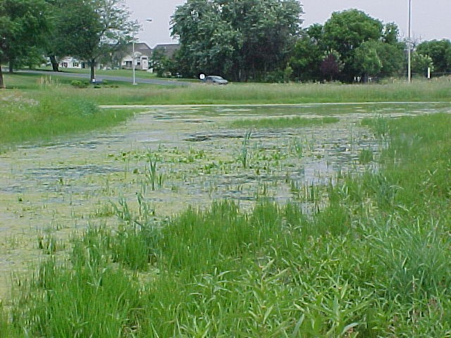 Pennsylvania Wetlands Replacement Project 2003 Monitoring Report